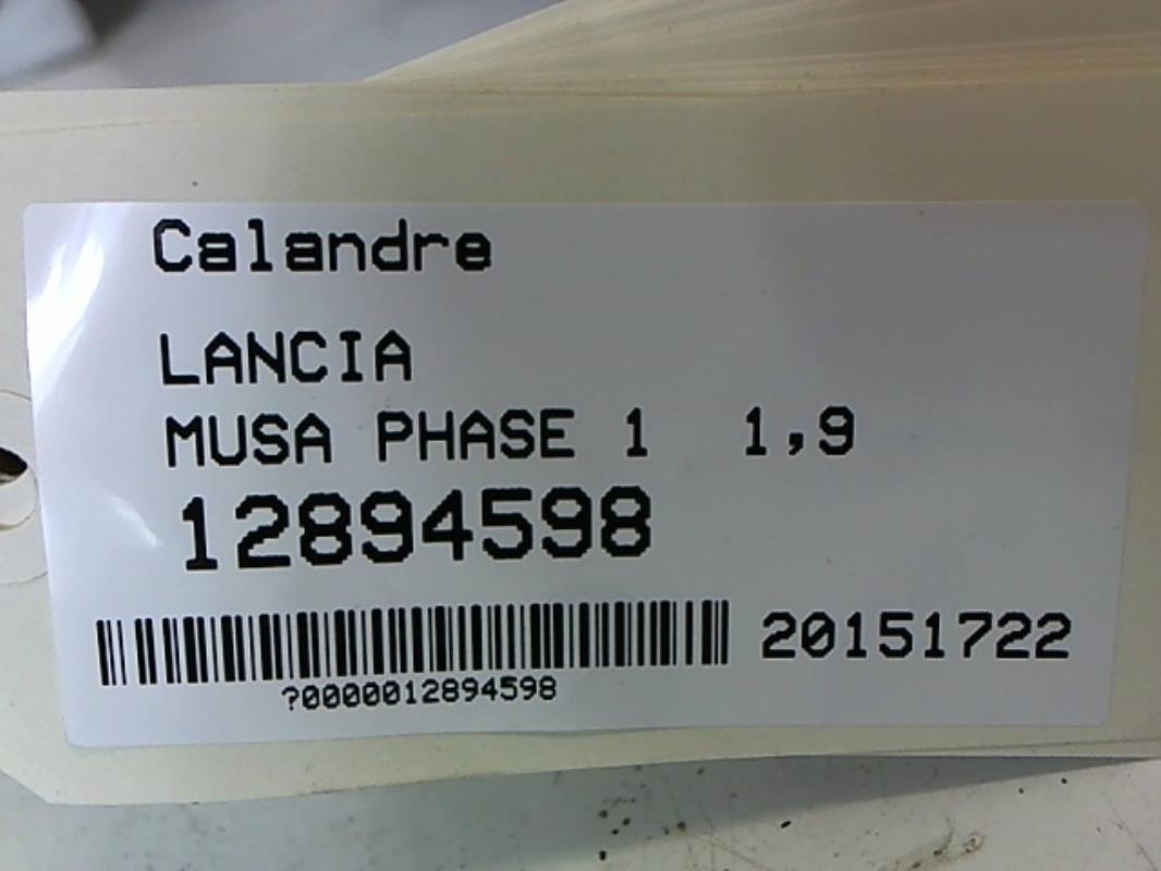 Calandre LANCIA MUSA PHASE 1 Diesel | Alberdi