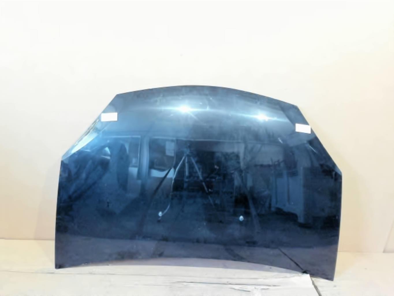 Capot DACIA SANDERO 1 Essence/GPL | Alberdi